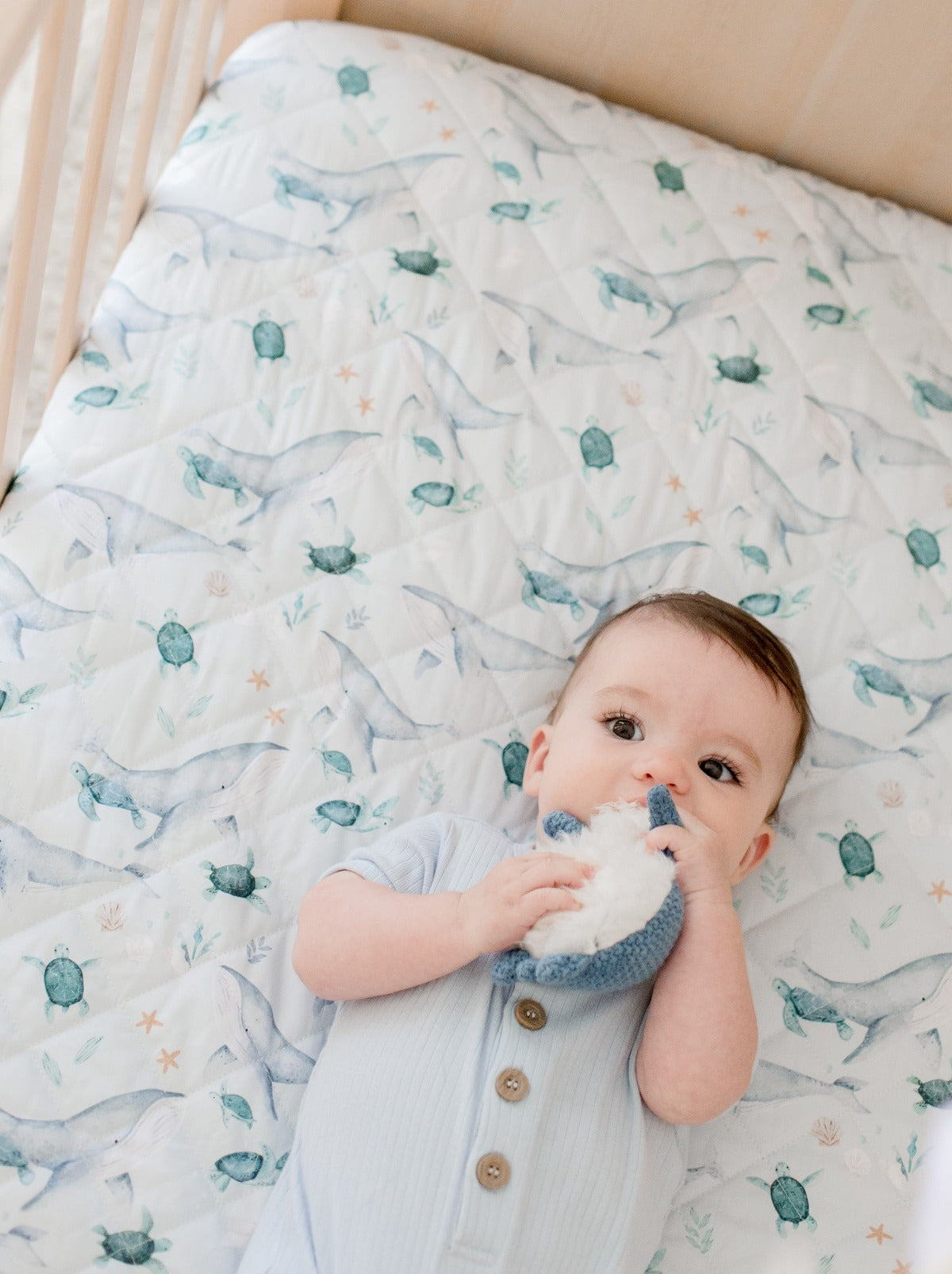 Waterproof Cot Sheet | Turtle Bay – Bambella Designs