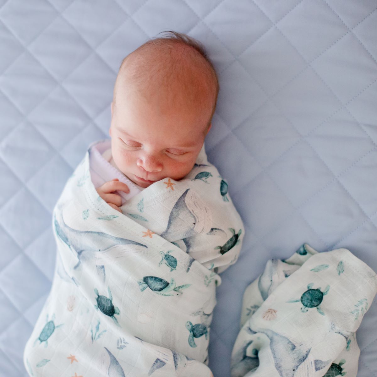 Bambella Designs Bamboo Cotton Muslin Swaddle | Turtle Bay