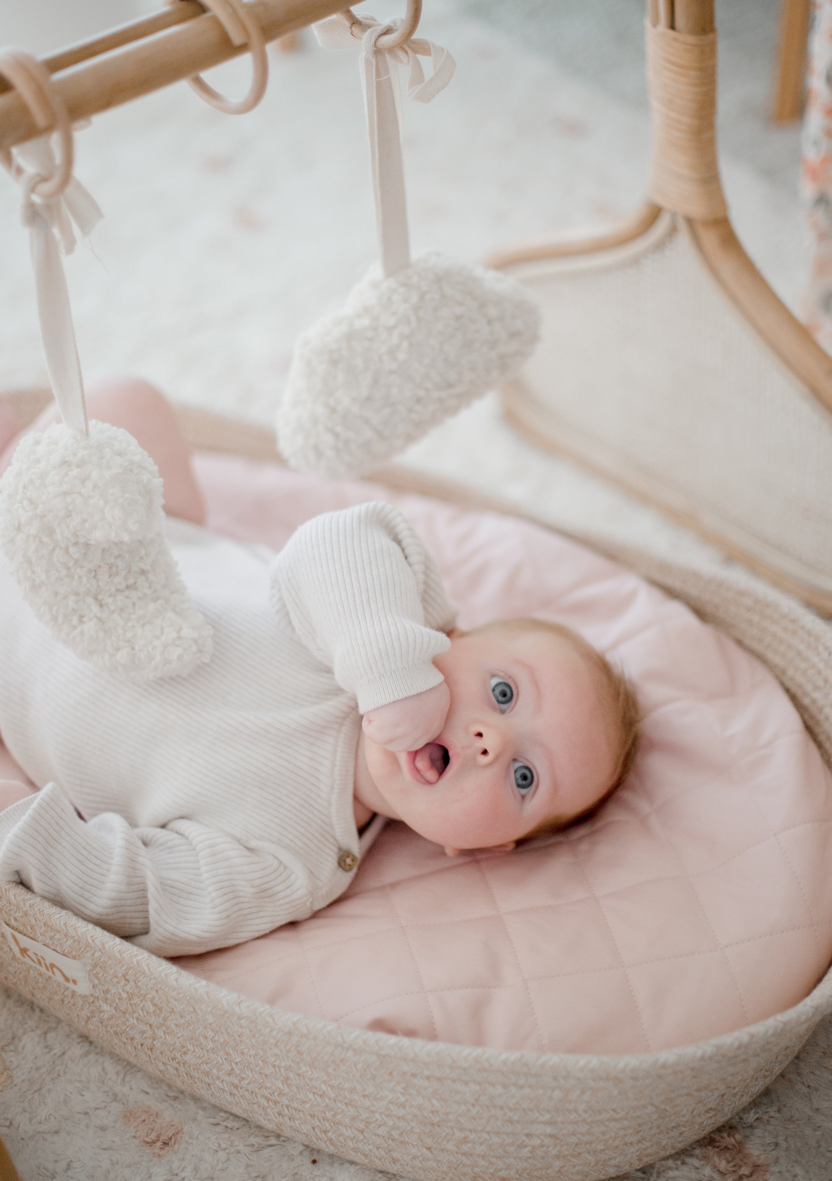 Waterproof Bassinet Sheet/Change Mat Cover | Lullaby Pink – Bambella ...